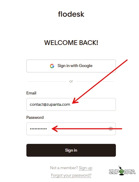 Flodesk Login: Sign In To Your Account Easily!